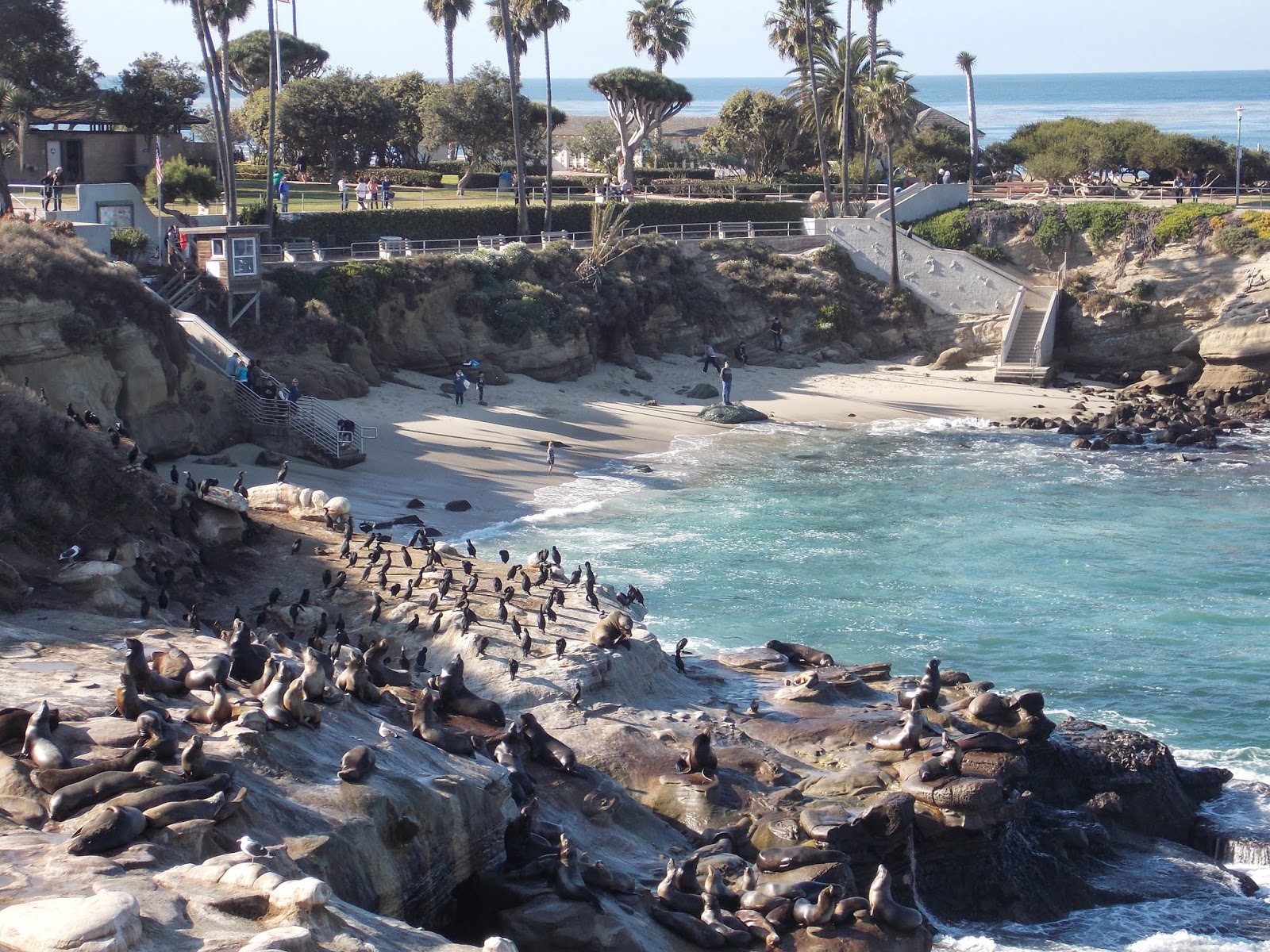 The Schramm Journey: La Jolla Sea Cove