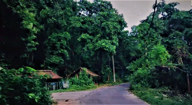 Top Offbeat Tourist Places in West Bengal