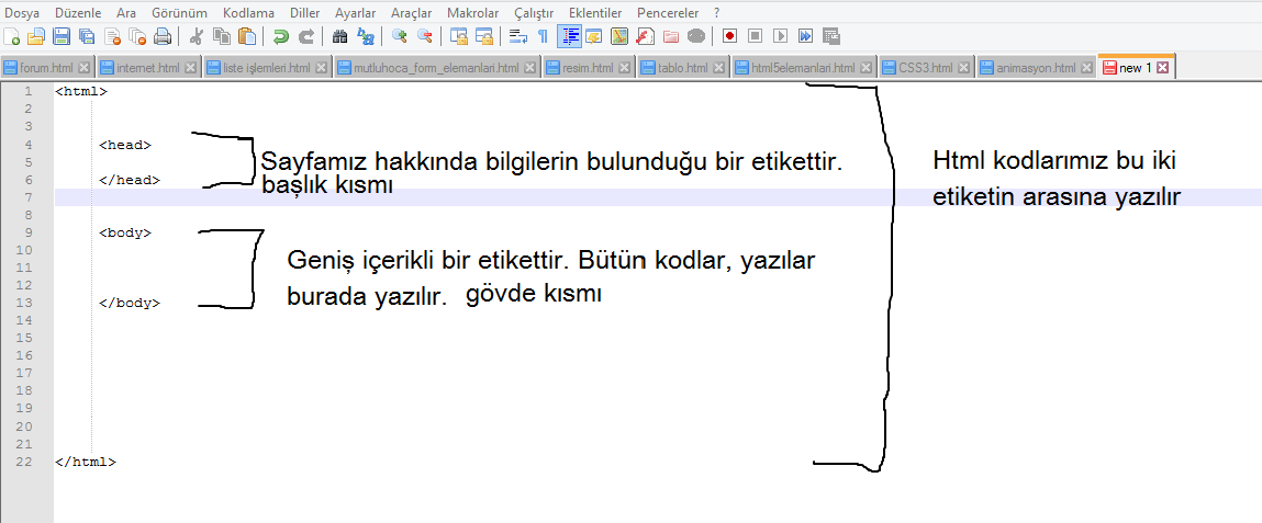 ebi: HTML - Notepad++ ve Sayfa Yapısı