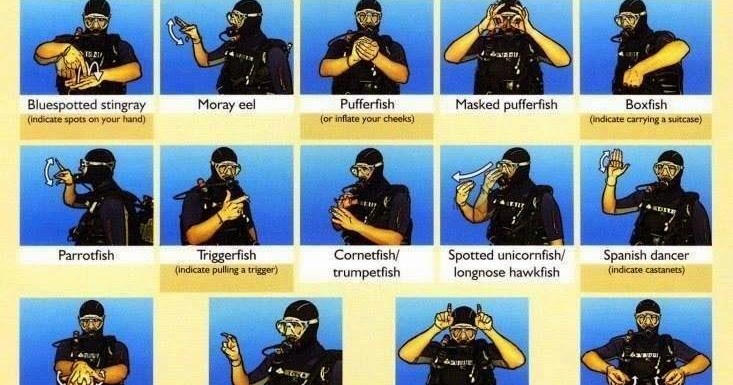 Wildnistourer - Adventure: Handzeichen für Taucher