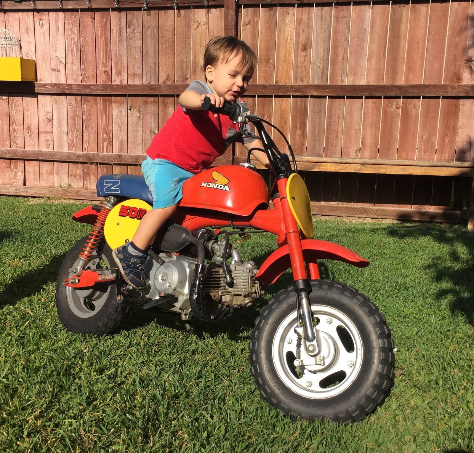 1984 Honda Z50r - Mini Bike Restoration