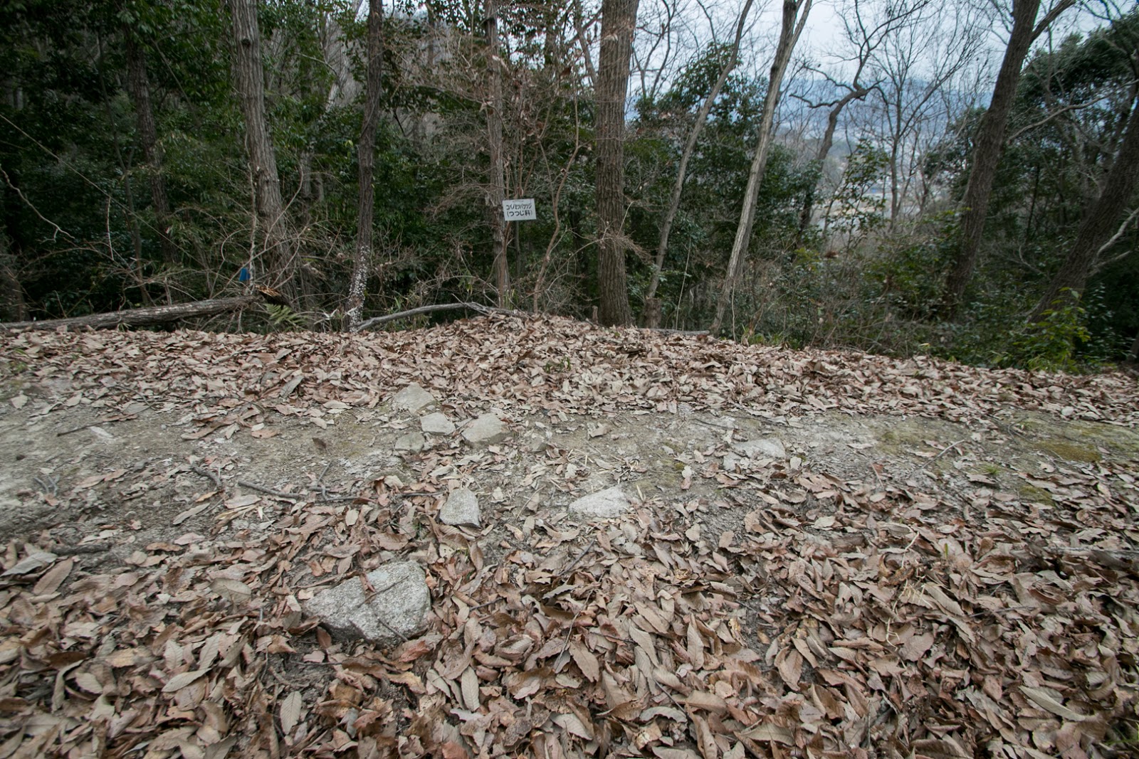 Niitakayama Castle -Intellectual pillar of Mouri clan (2)- | Japan ...