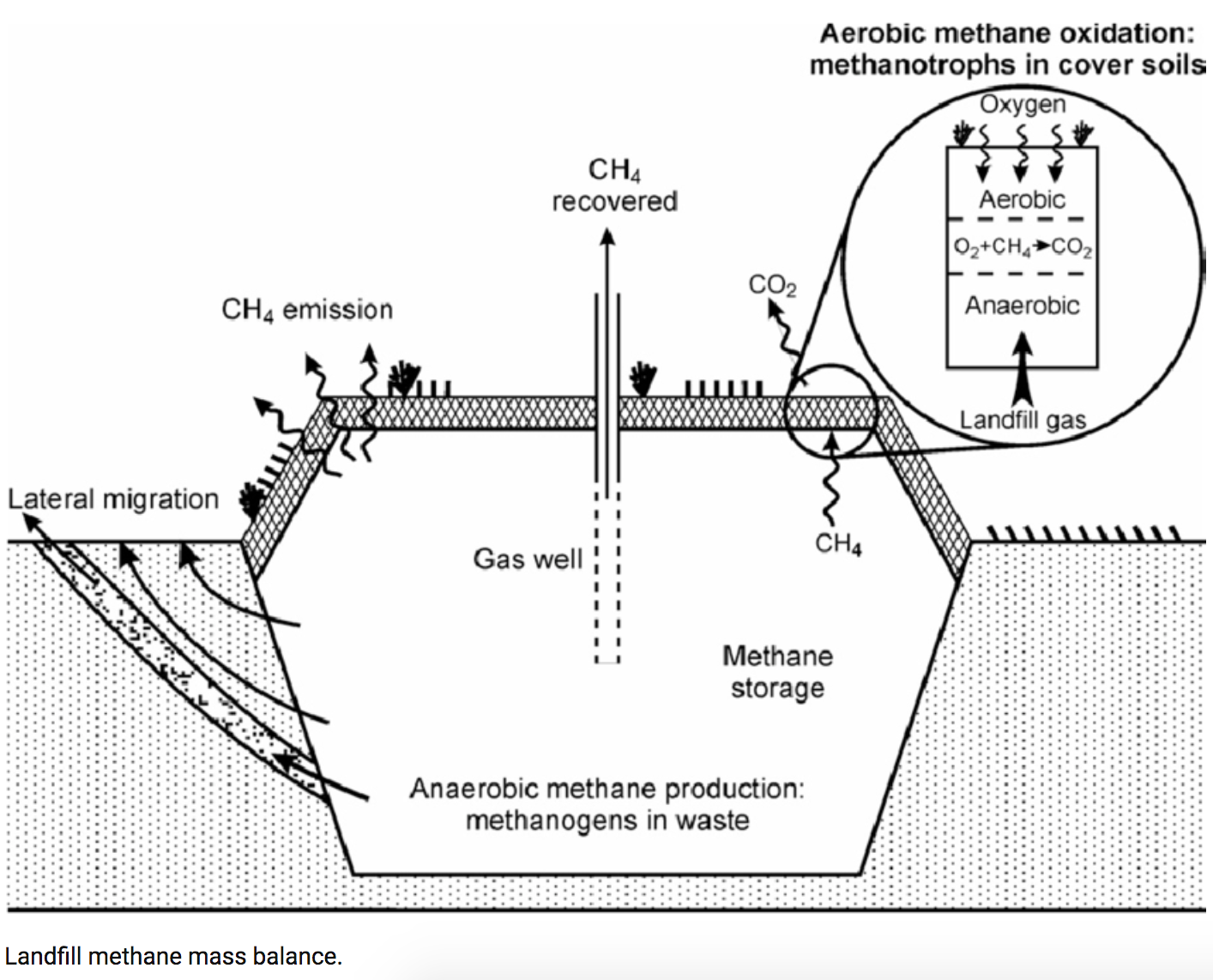 Microbial methane oxidation processes and technologies for mitigation ...