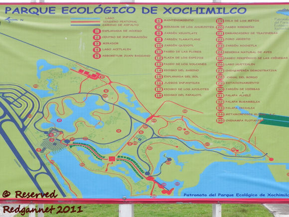 Redgannet: Parque Ecologico de Xochimilco, PEX, August 2011