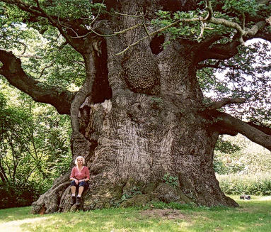 The Oak and the Antler: Father Oak