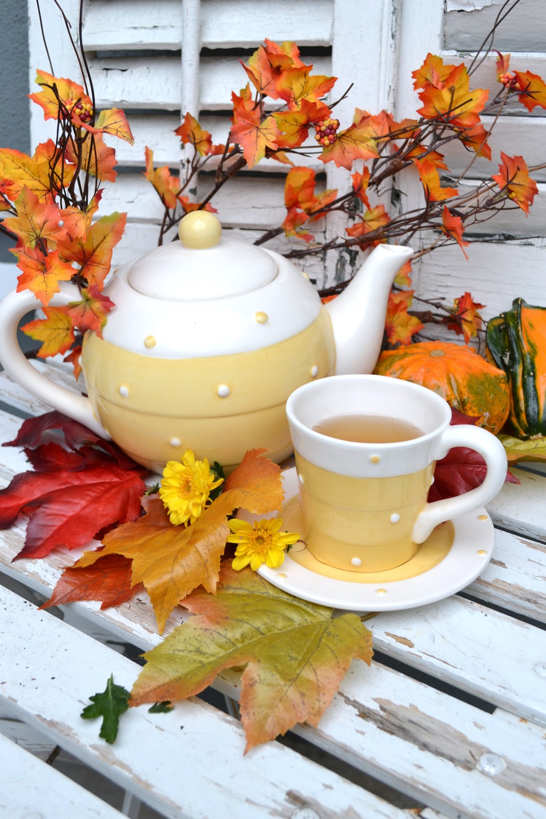 My Painted Garden: Fall Gatherings from My Garden