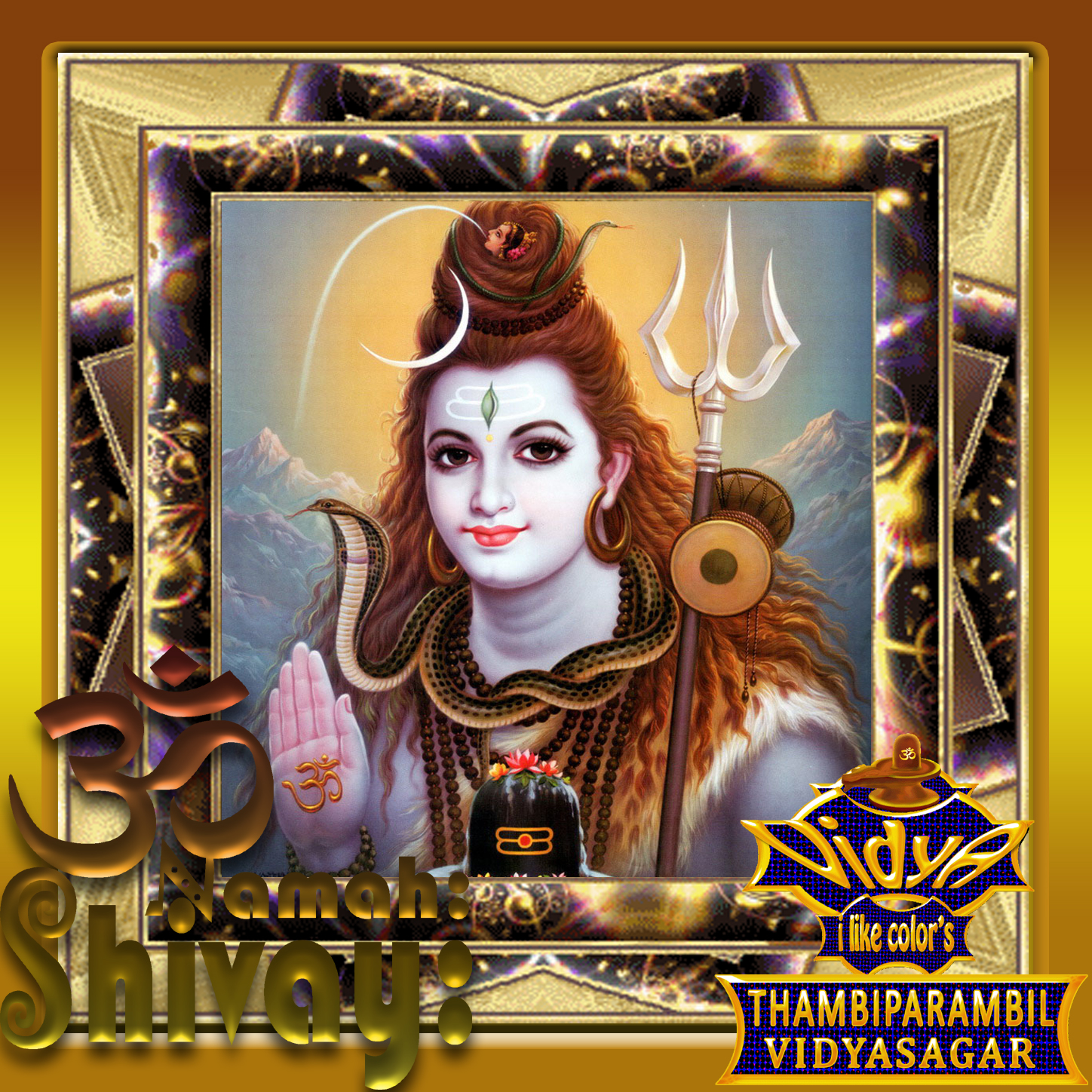 LORD SHIVA WALLPAPER'S: SHIV BHAGAVAN