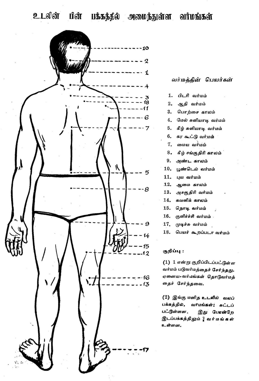 வர்மம் varmam