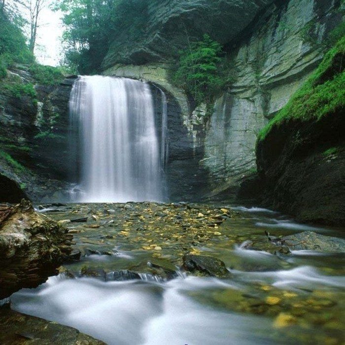 Imagenes Sin Frases | para Perfil Whatsapp | Sin Letras • IMAGENES para ...