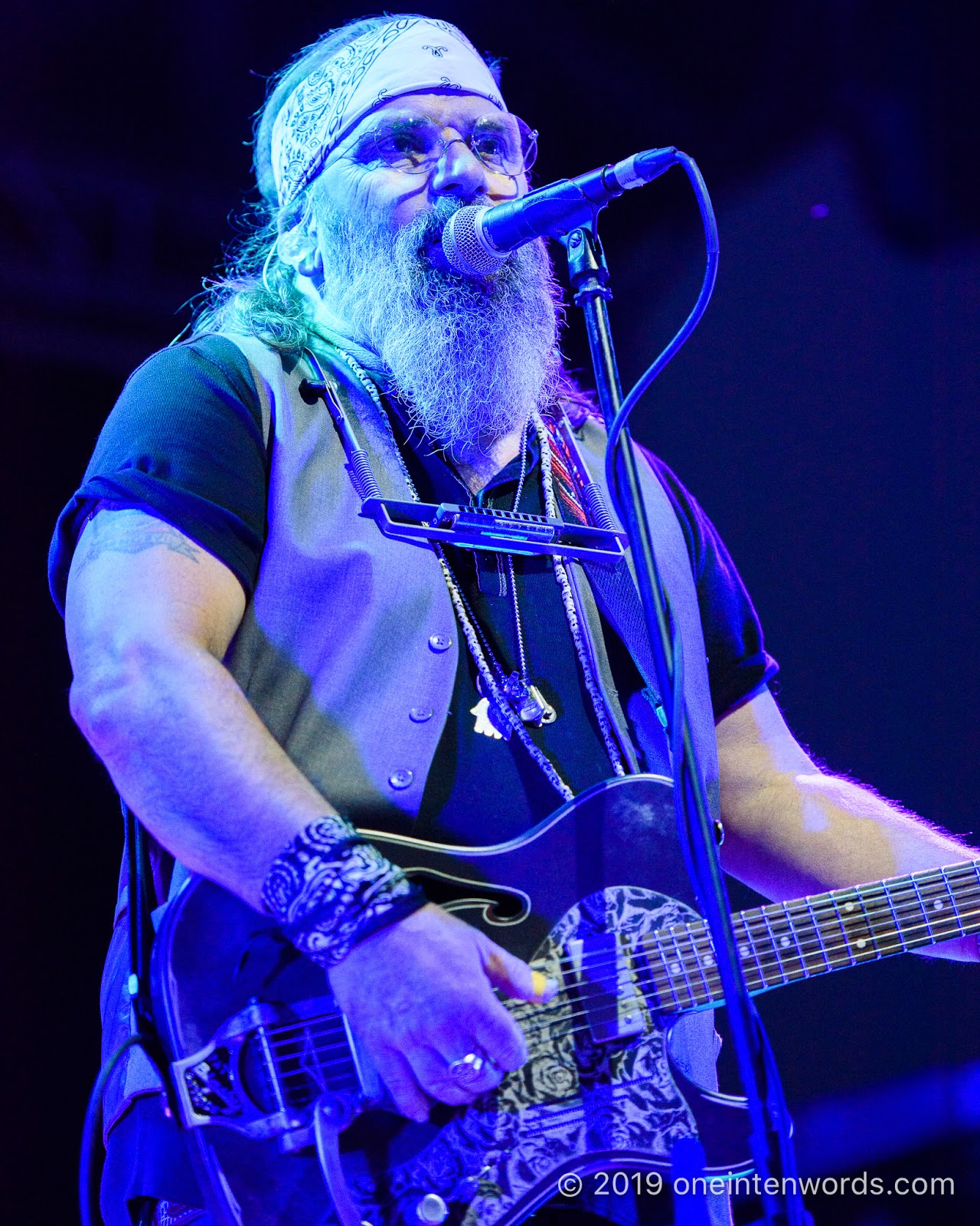 one in ten words: Hillside 2019: Day 2: Steve Earle & The Dukes ...