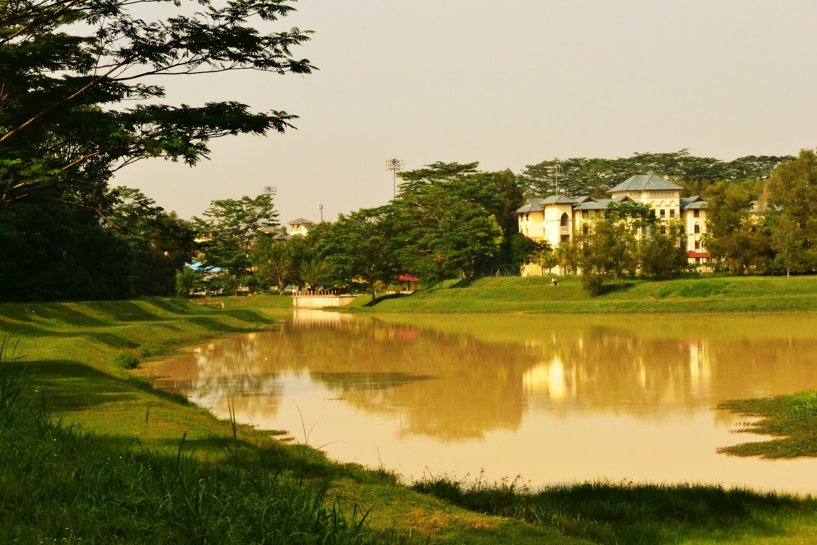 I marvel the world through the lens. I snap what matters. What matters ...