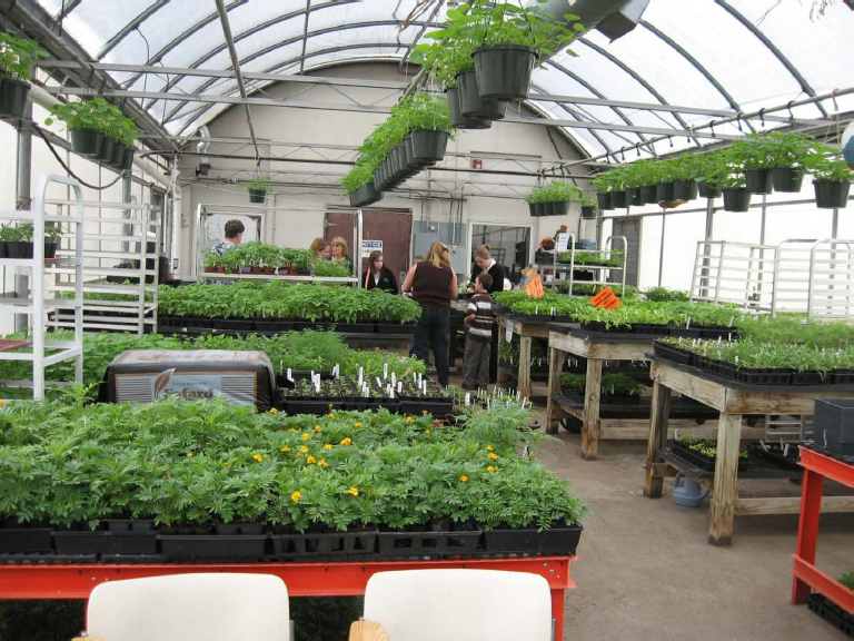Wayne ARC Greenhouse Operations Needs Help | Wayne County Life