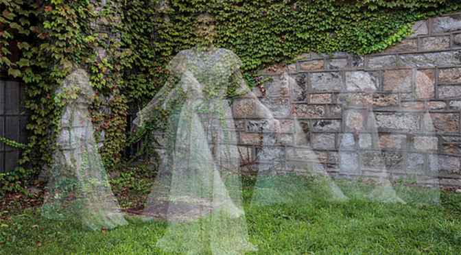 The Fading Ghost Gardens