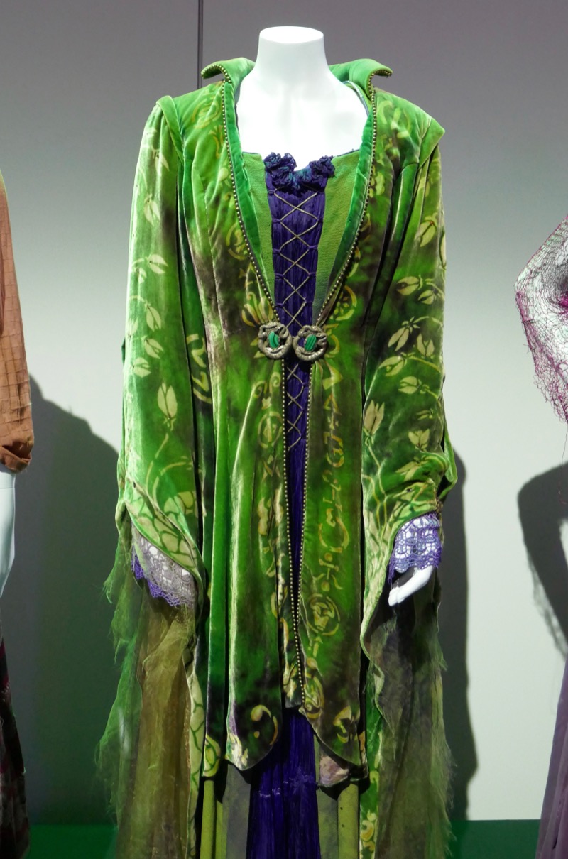 Hollywood Movie Costumes and Props: Screen-worn Hocus Pocus film ...