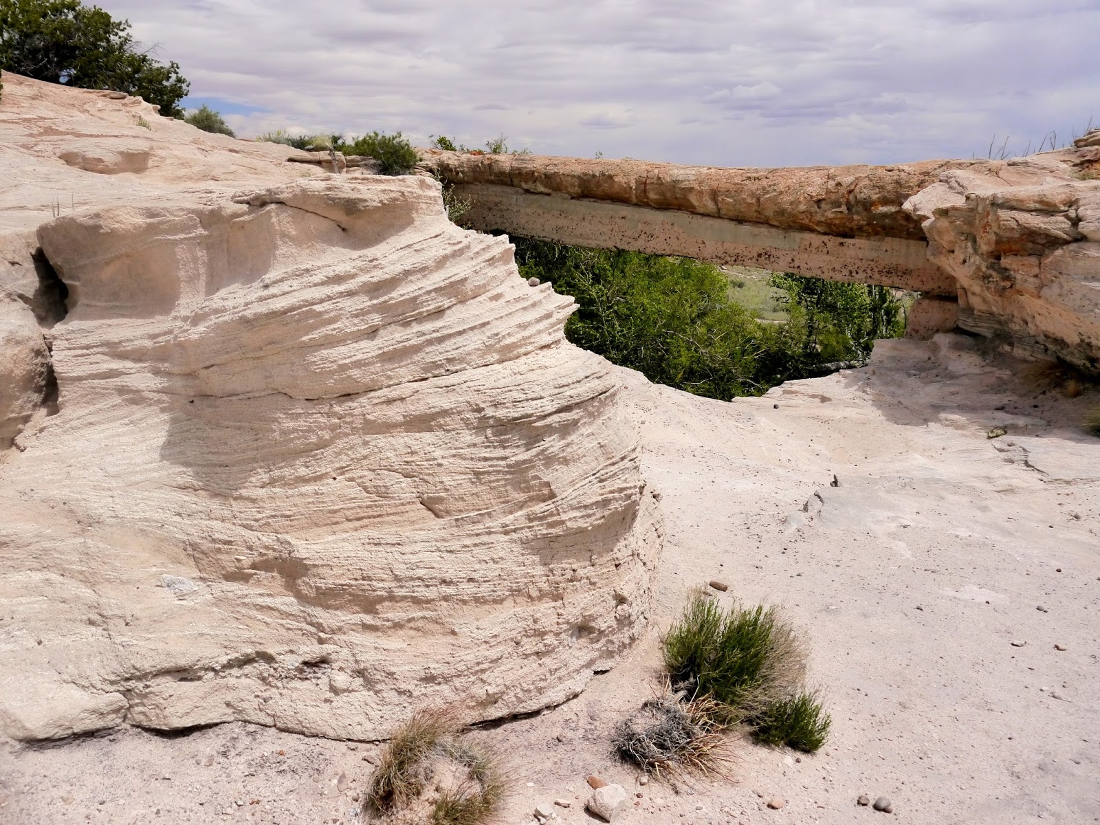 American Travel Journal: Agate Bridge - Petrified Forest National Park