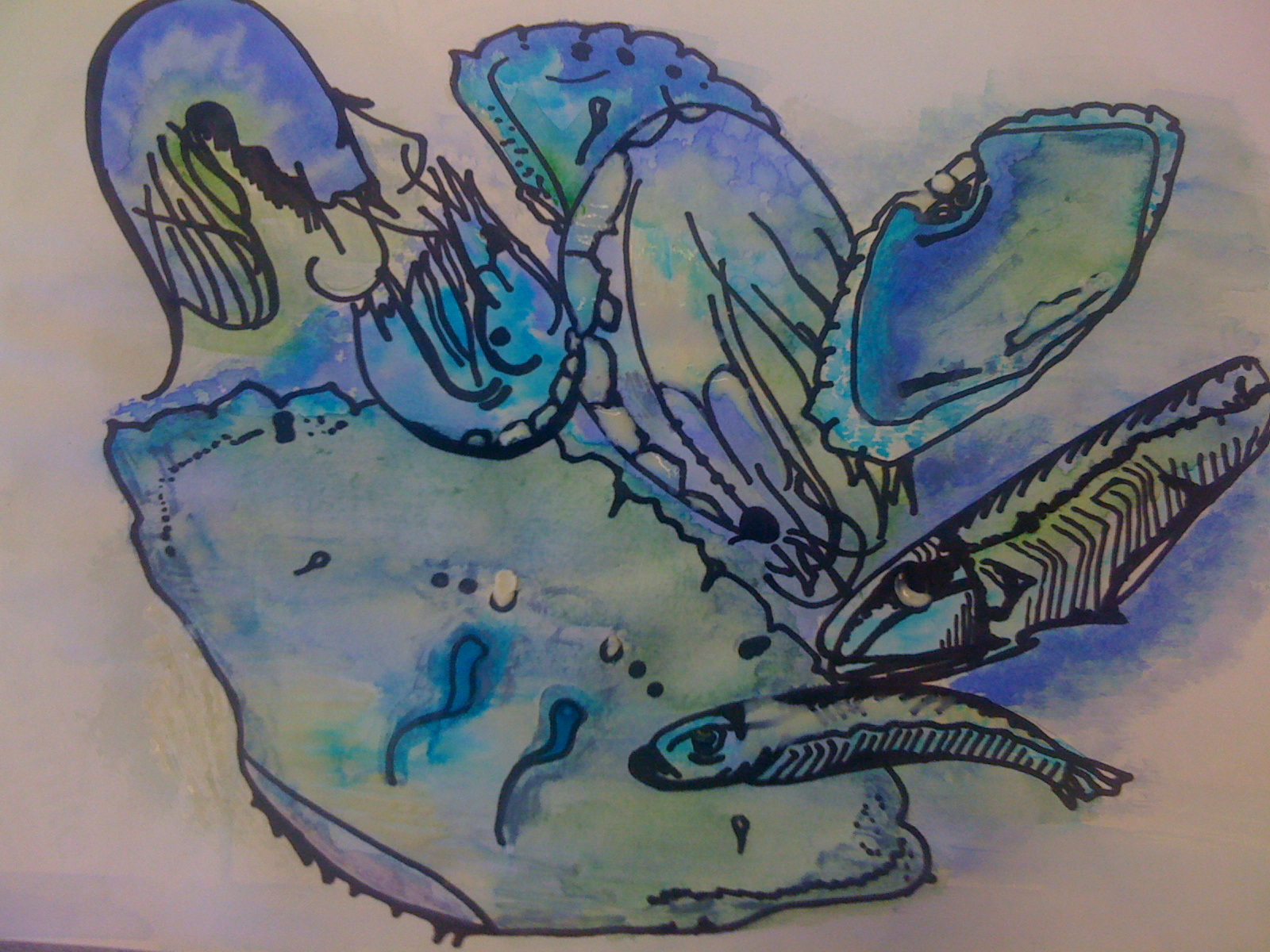 BRIT ART: Bethany Crossley, Fish.