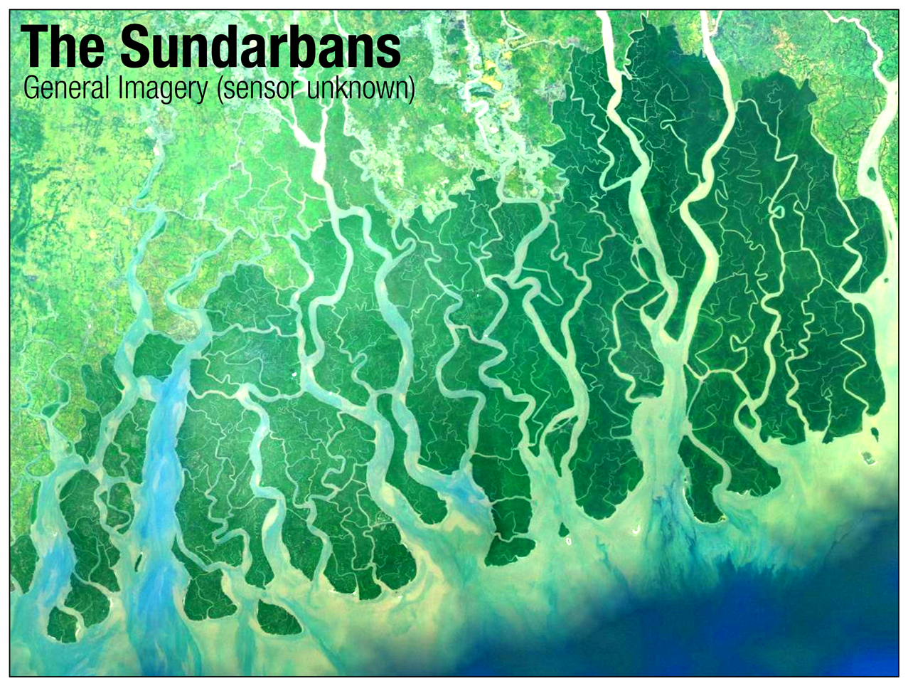 maps&maps: The Sundarbans