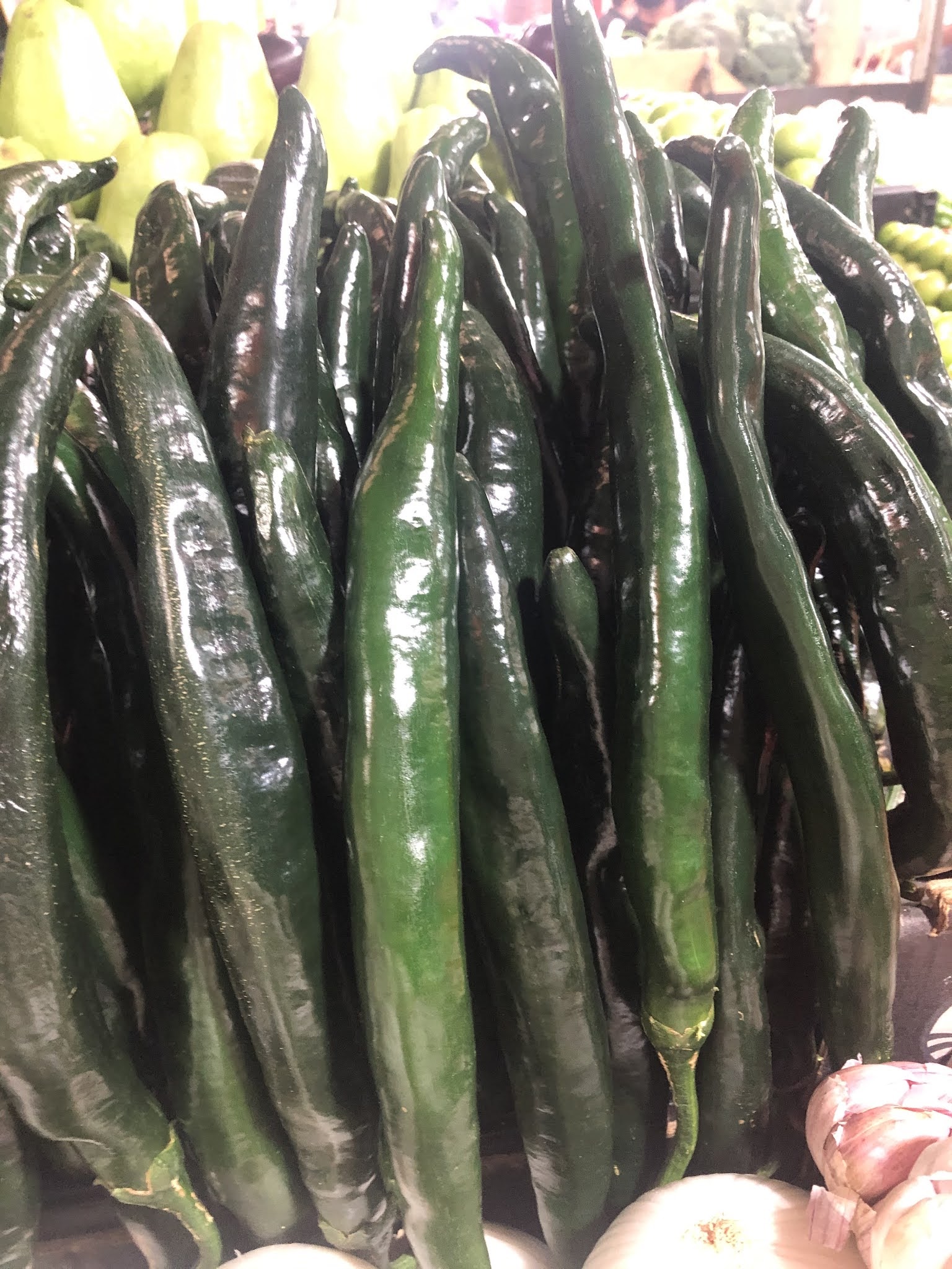 Chilaca o Pasilla - Historia y sabor