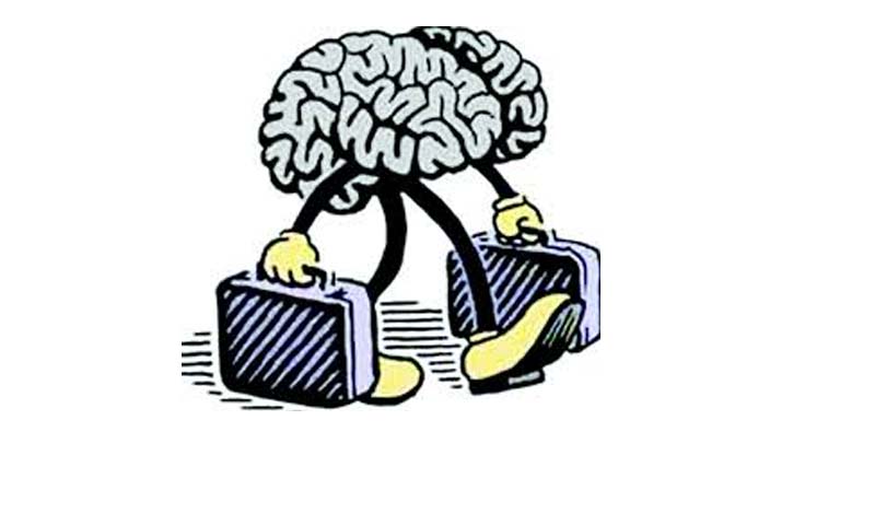 BRAIN DRAIN: APA ITU BRAIN DRAIN?