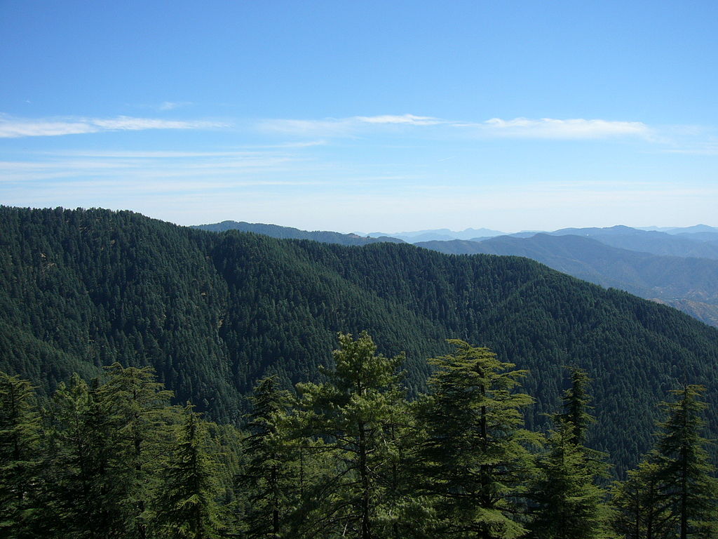 Exquisite Landscape that enthralls you to the core !!: Shimla