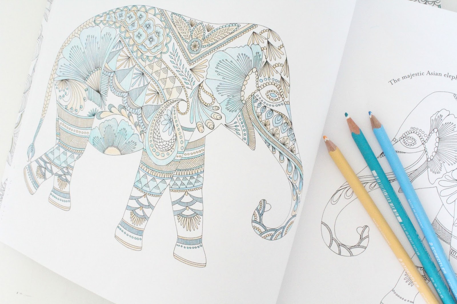 Shannon-Jo: Adult Colouring Books & Why I Use Them