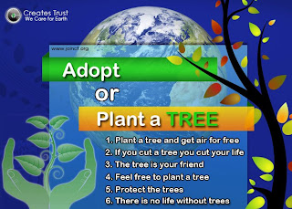 Creates Trust: There is no life without Trees.