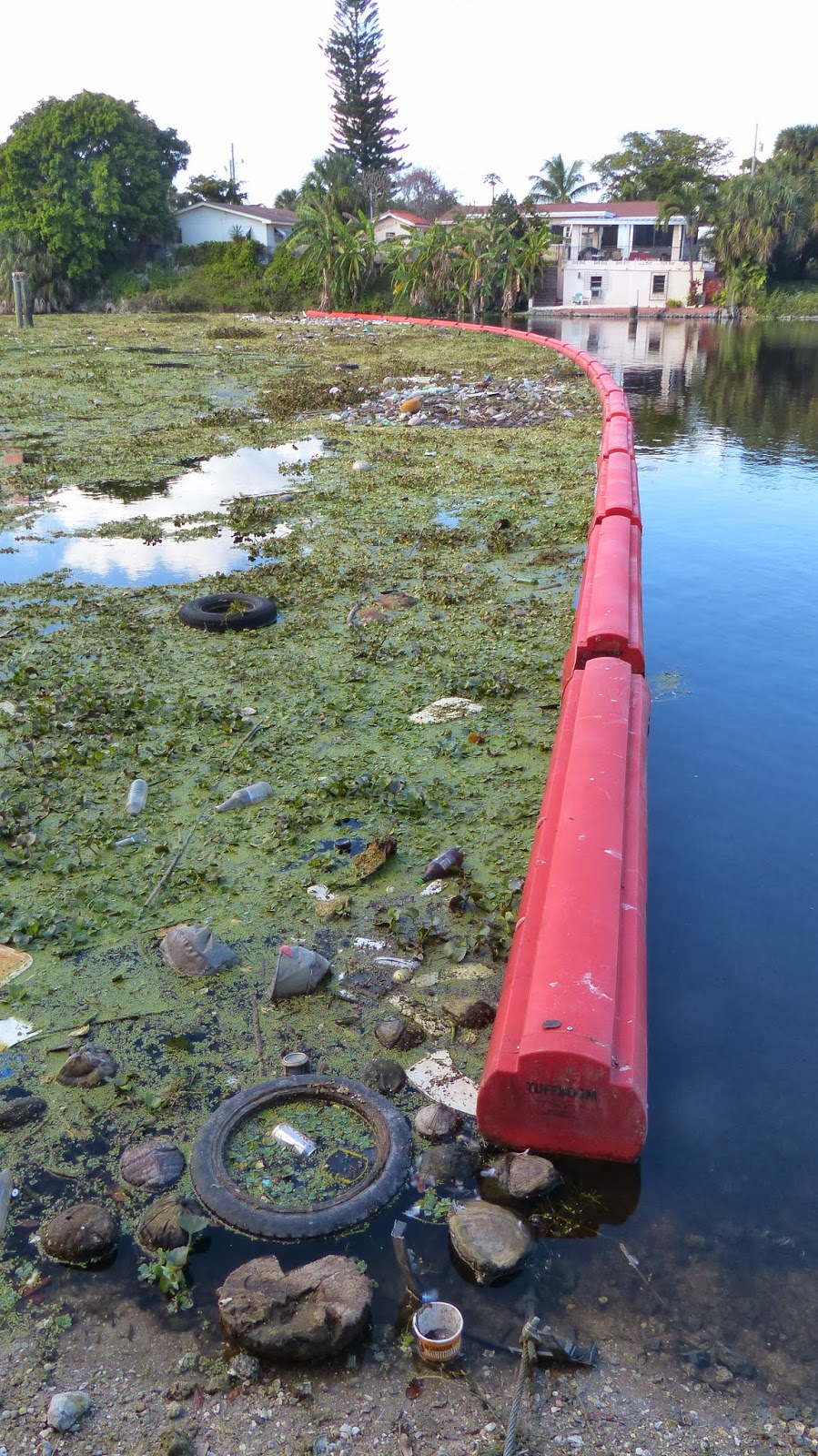 Lake Worth Beach City Limits: Conditions at the C-51 Canal