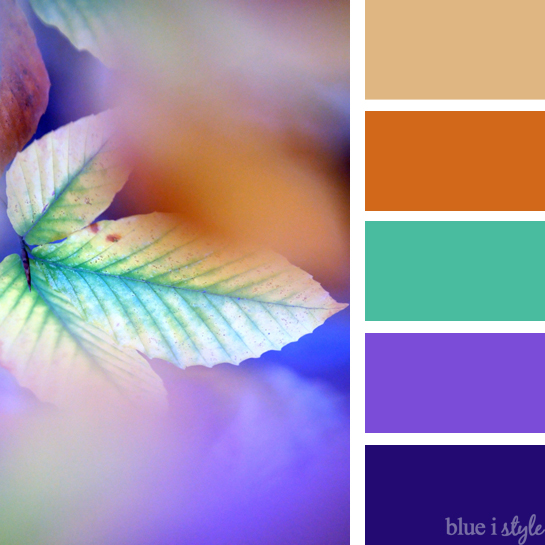 {seasonal style} 10 Non-Traditional Fall Color Palettes For Every Home ...