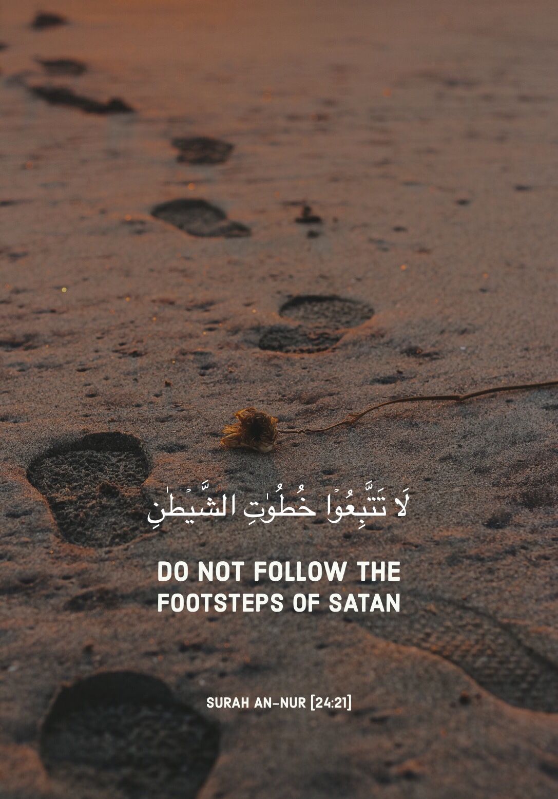 10 Most Beautiful Ayats from the Qur'an