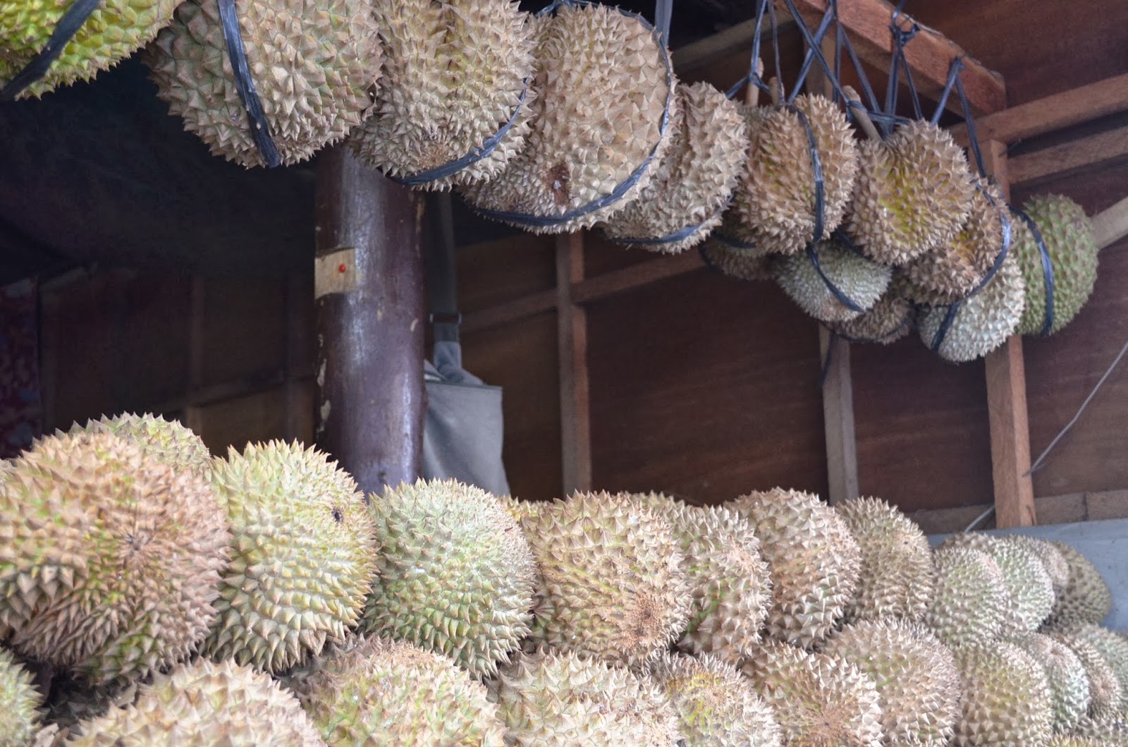Exploring Davao City: Davao's Iconic fruit, the Durian!