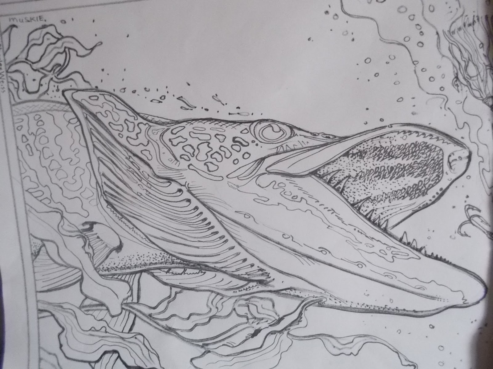 CHARLES WEISS ART: Muskie painting on progress