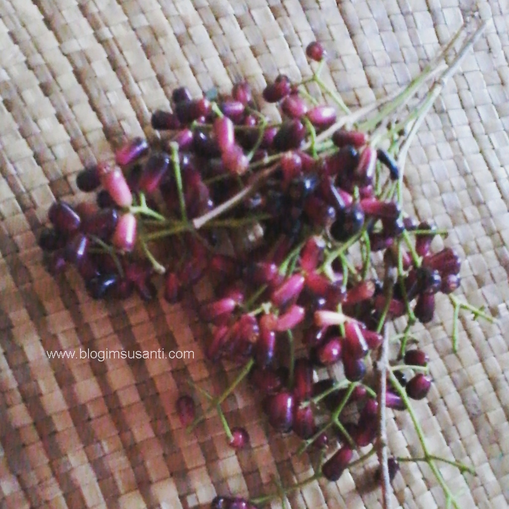 Lopang, Surganya Buah Jamblang - BLOGIMSUSANTI