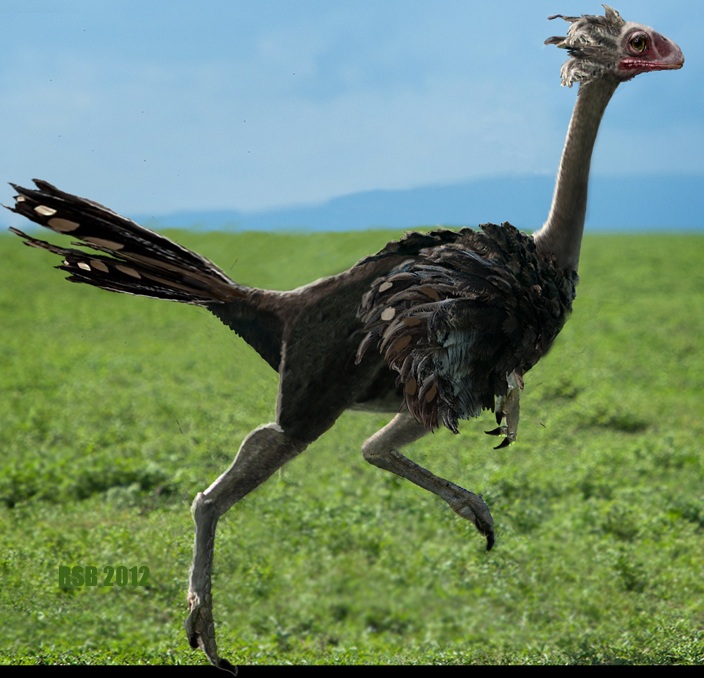 Dinosaurios: Avimimus