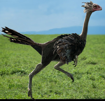 Dinosaurios: Avimimus