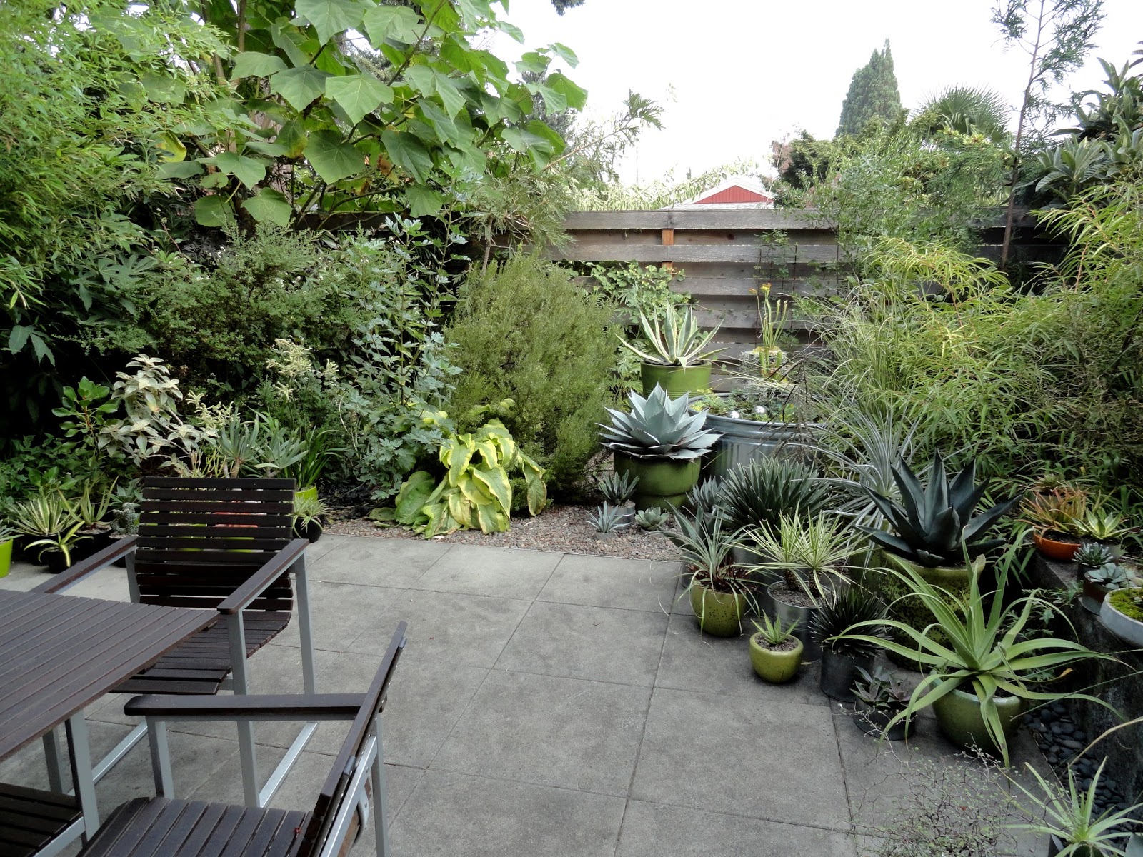 danger garden: Tour 2017, the back garden