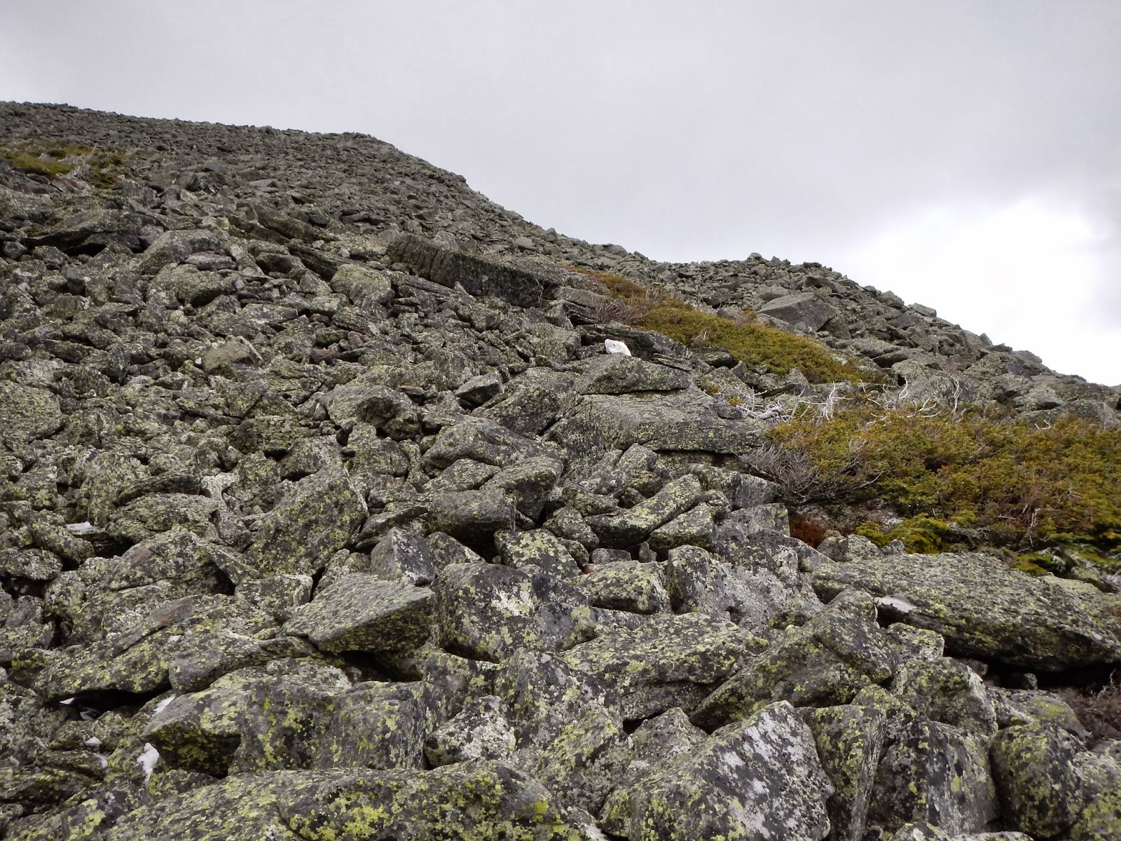 Hitting the Trails: 10/20/2013-10/21/2013 Mount Adams and The Great Gulf