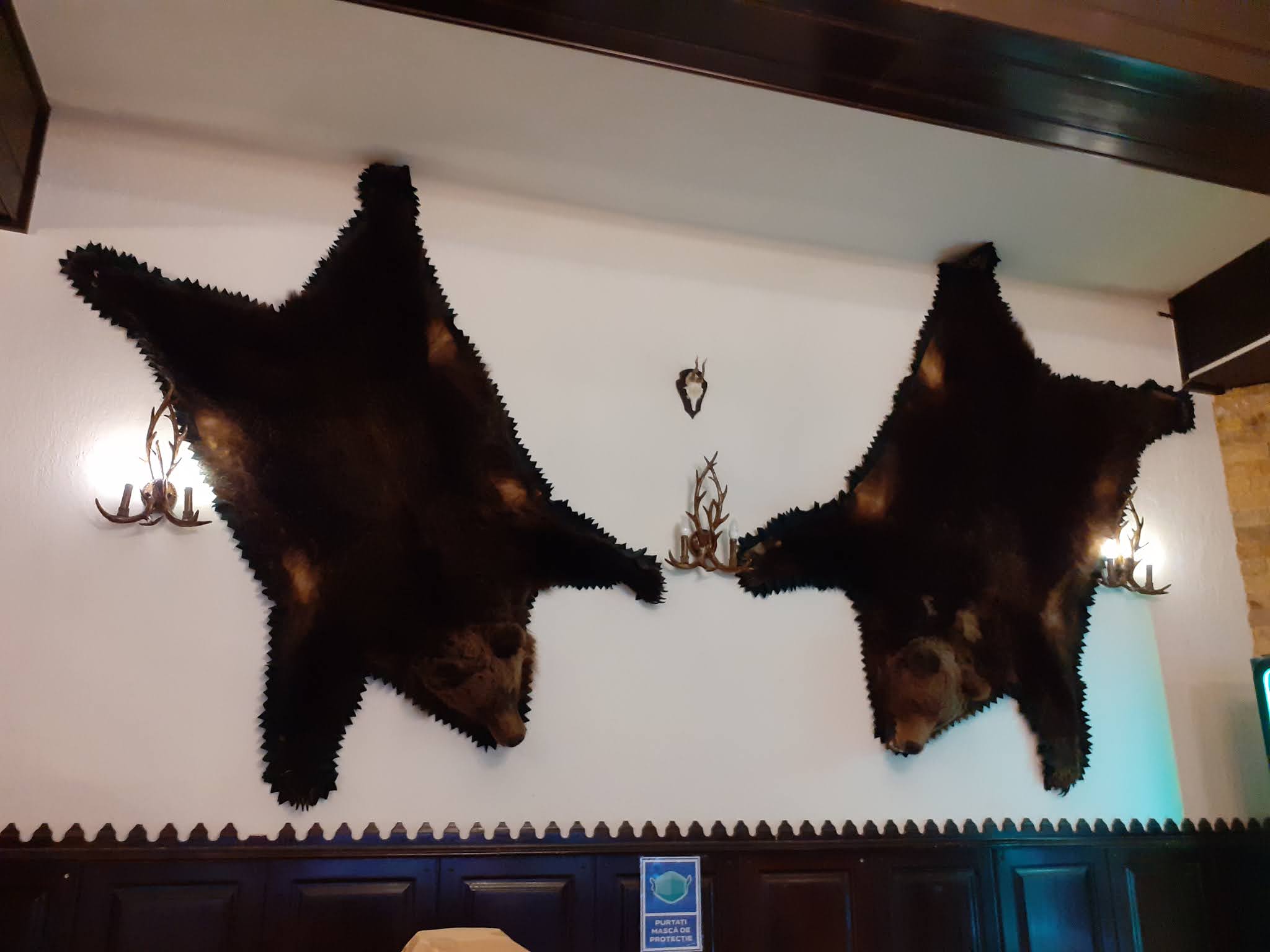 Când scuturi ursul de bani - DETALII DEPIXELATE