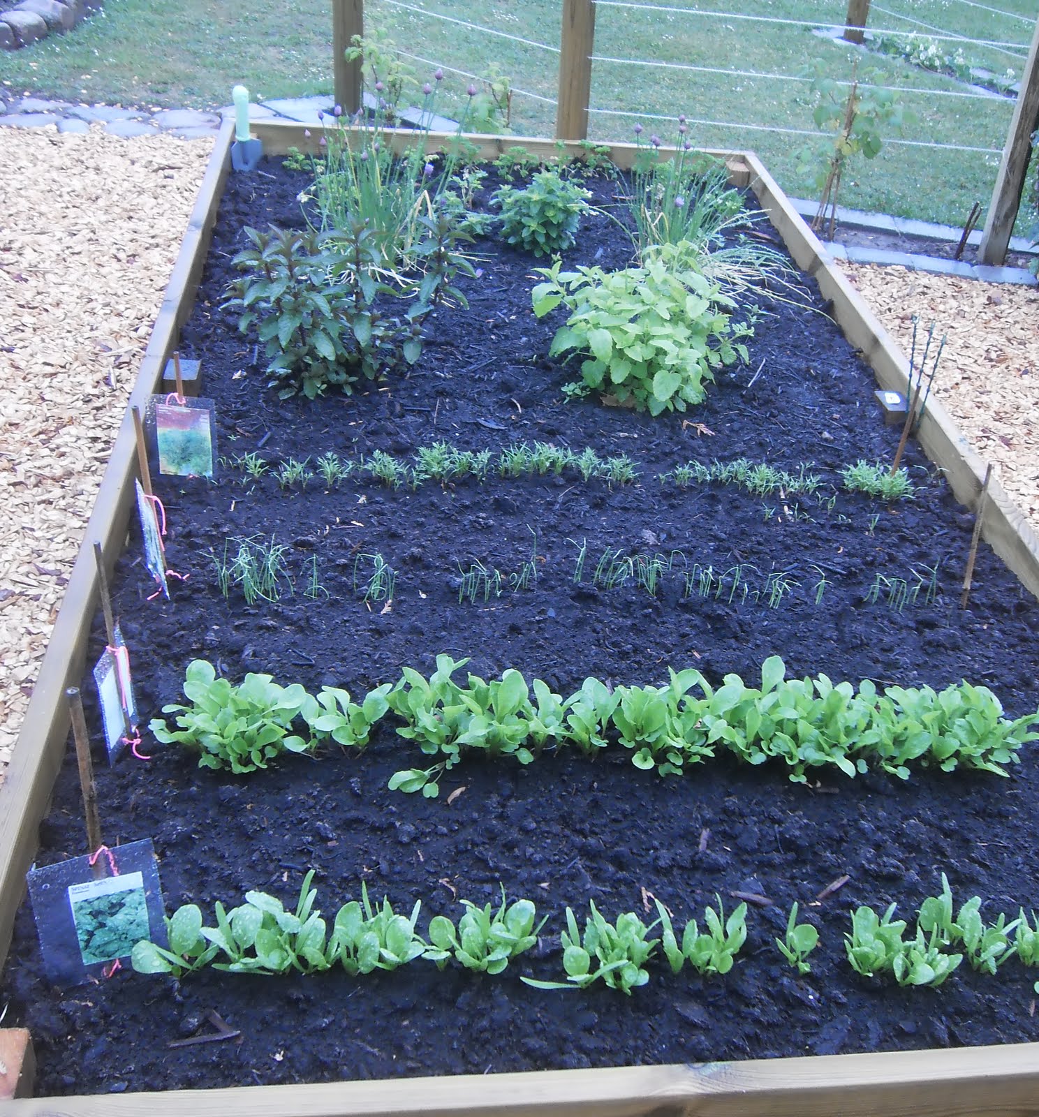 Patchwork-blomsten: Endnu en pause :o(