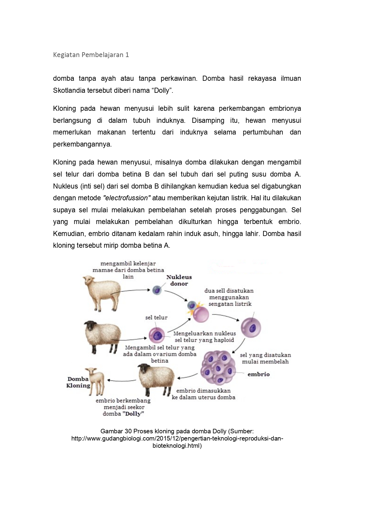 Sistem Perkembangbiakan Tumbuhan dan Hewan SMP/MTS kelas 9