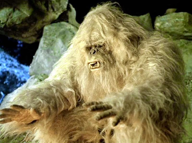 CFZ-USA: JOHN GREEN'S SASQUATCH DATABASE