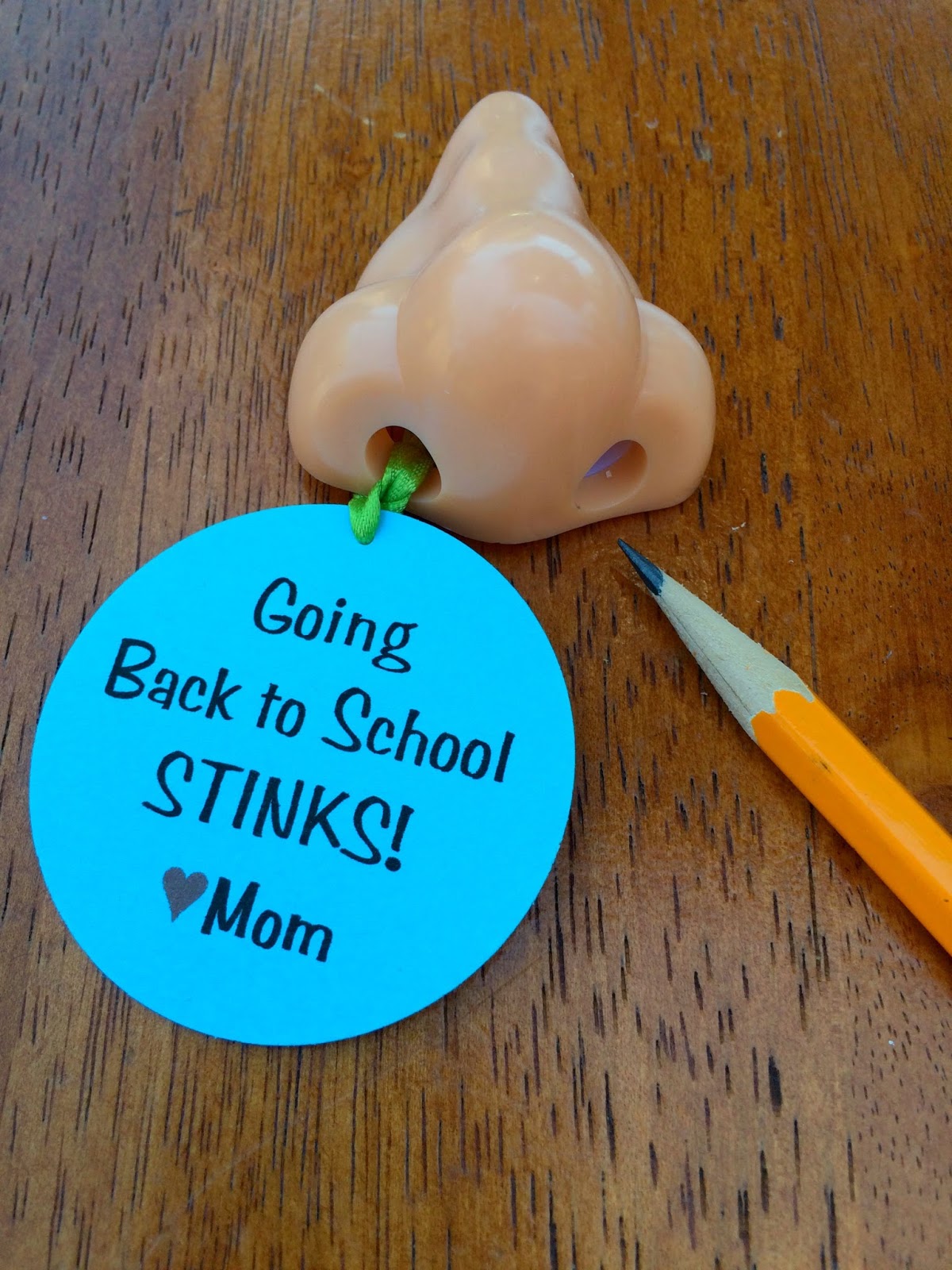 Jac o' lyn Murphy: Going Back to School Stinks!