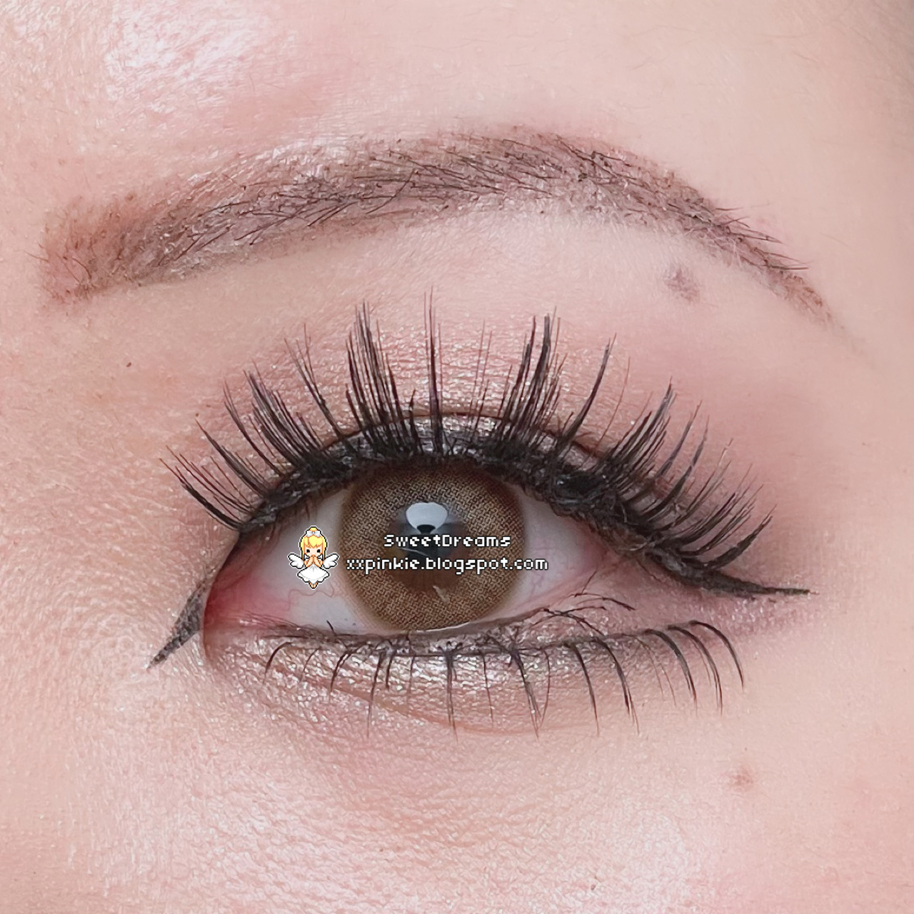 SweetDreams♔‬ : Where I buy my Gyaru Lashes (with links)