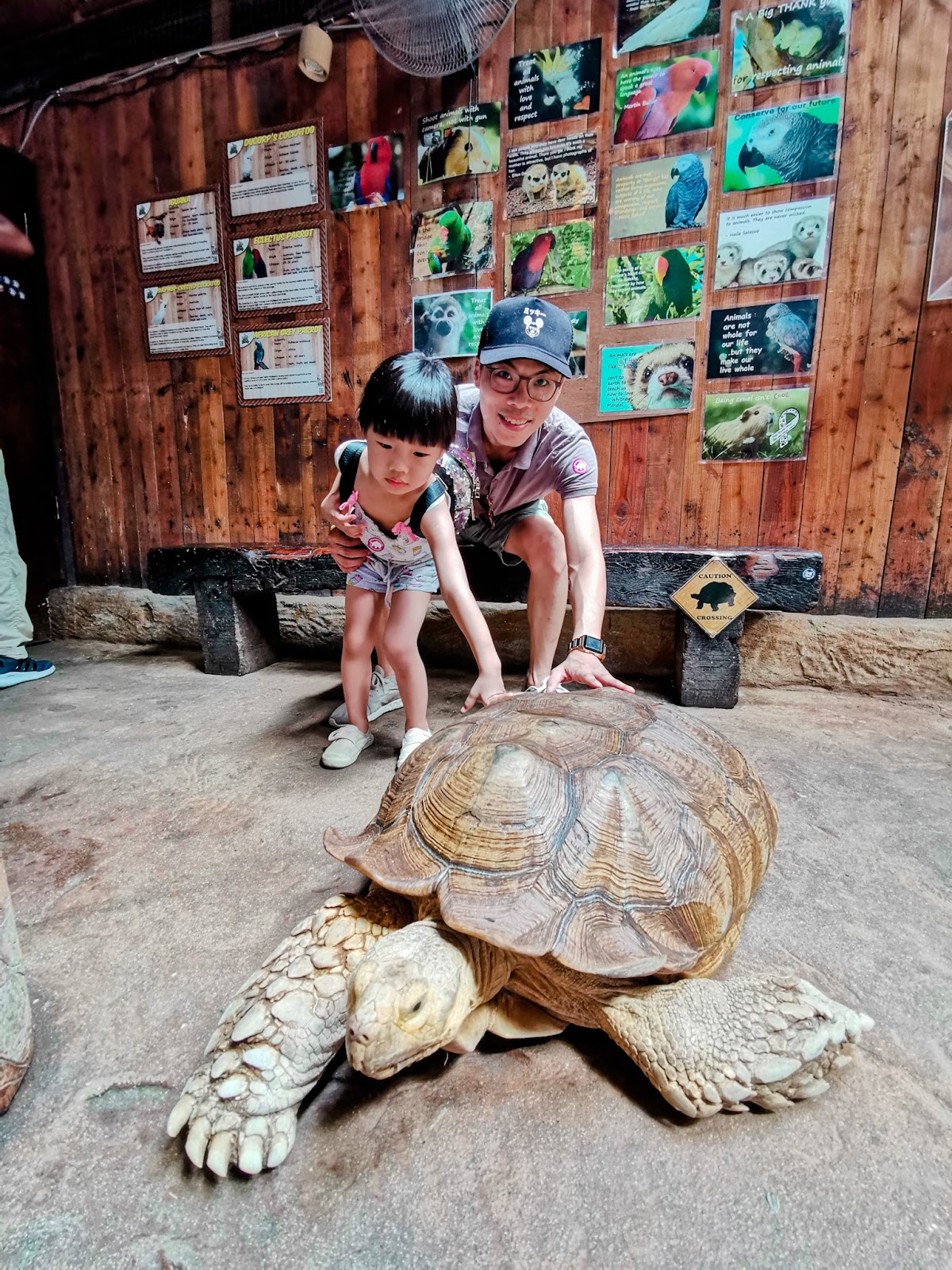 Activities For Kids | KL Tower Mini Zoo - Jia Shin Lee