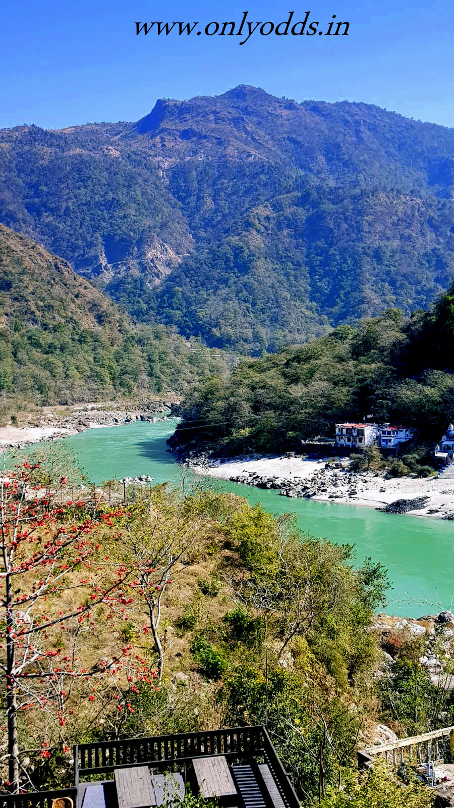 Rishikesh- Alive | OnlyOdds