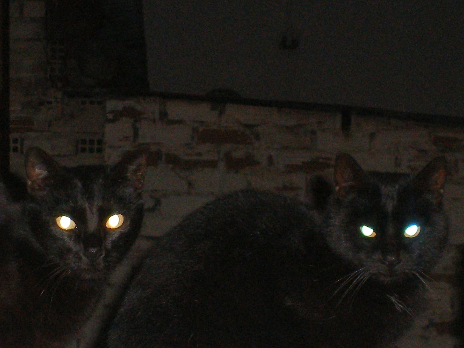 NOTICIAS Y EFEMERIDES MUSICALES Y DEL CINE: DESCUBRA LO QUE PIENSAN LOS ...