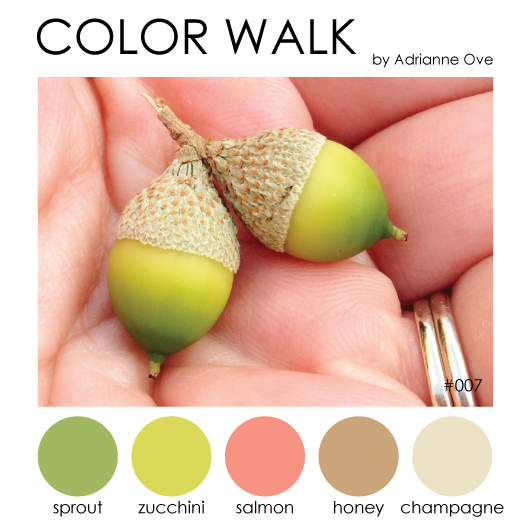 Little Bluebell: Color Walk 007