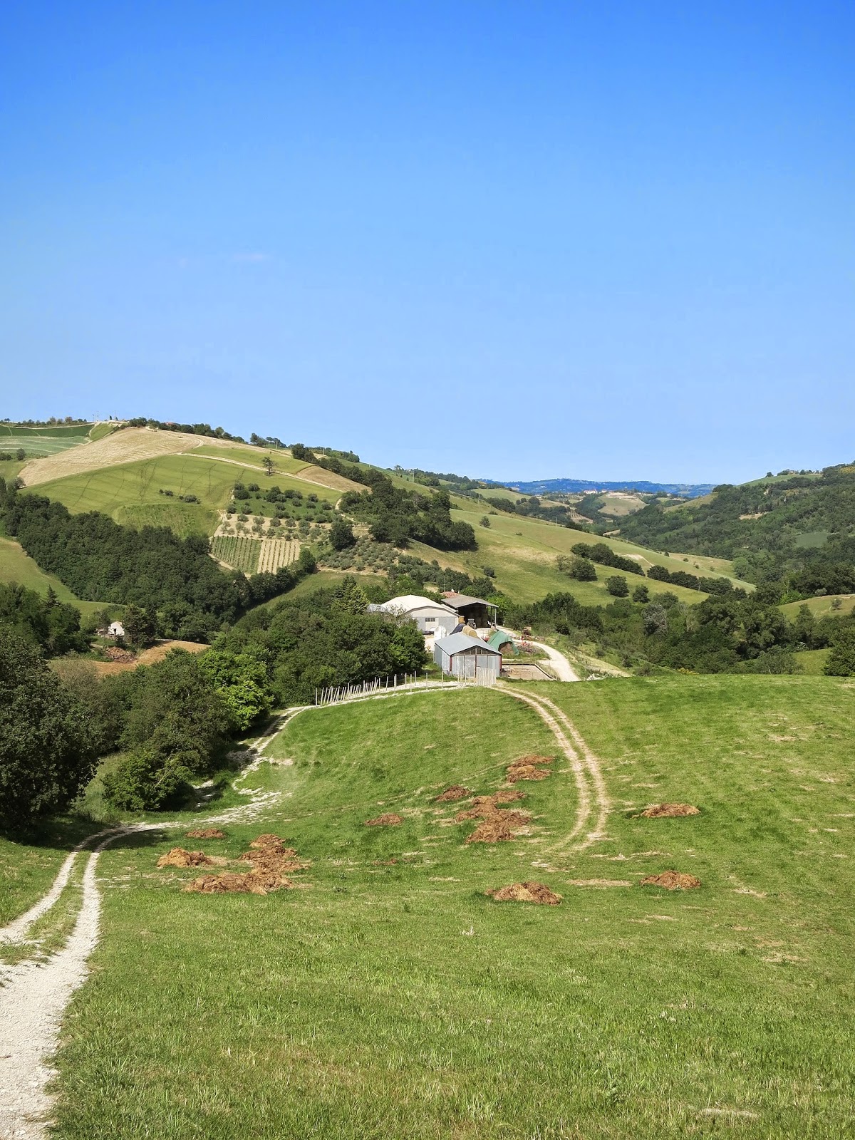 Itineris Mei: Il Monte San Bartolo tra vecchi e nuovi tracciati