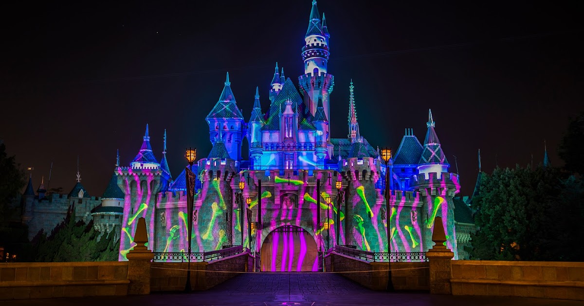 Disney Photoblography