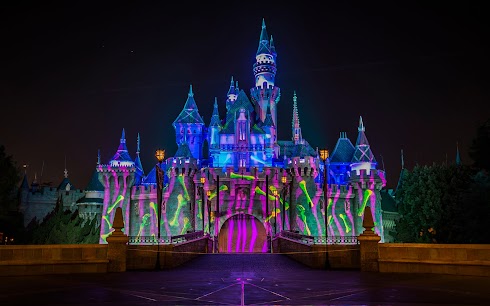 Disney Photoblography