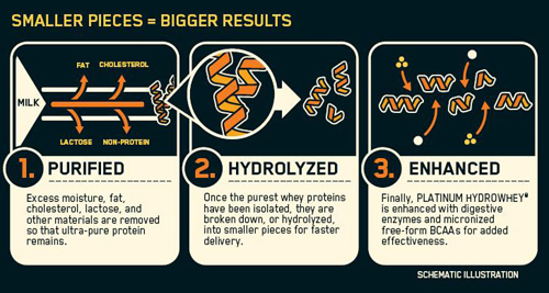 Whey protein types: Manufacture and nutritional analysis. By Vic ...